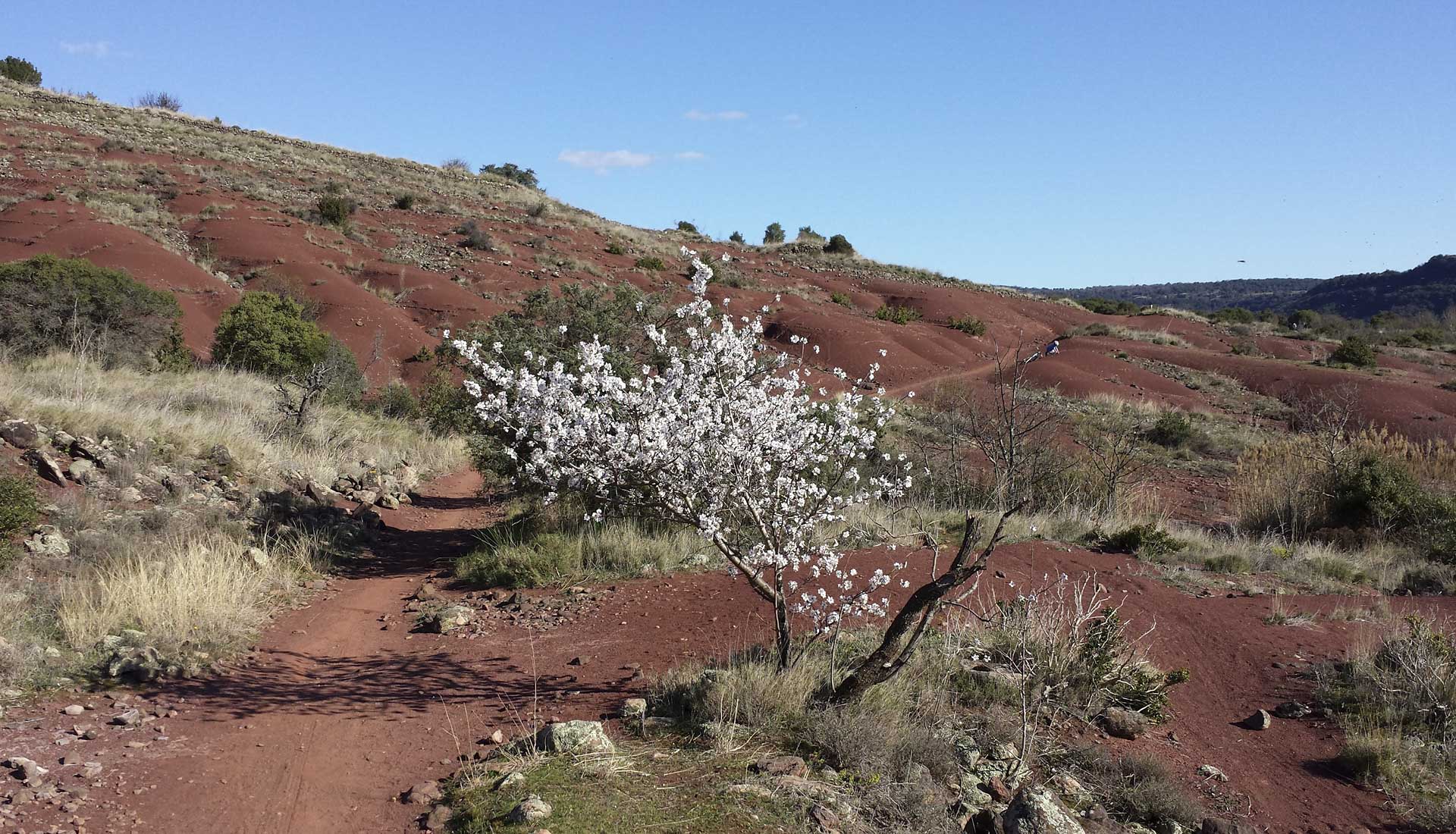 Le rouge du lac du Salagou , Symbole de la vie, de l’énergie